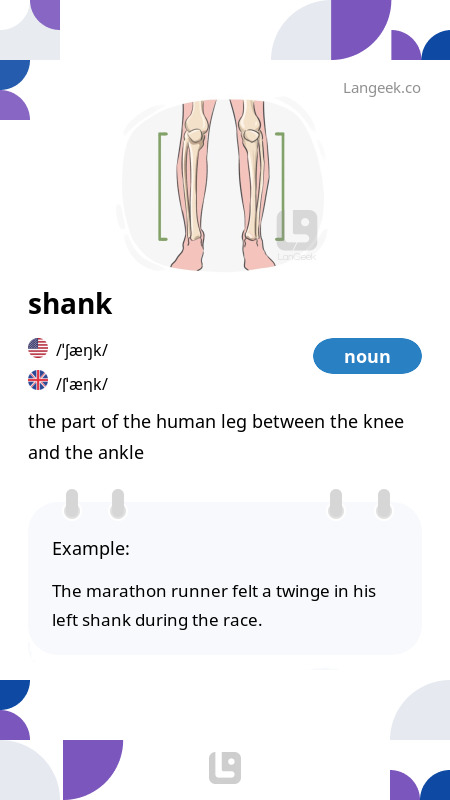 Definition & Meaning of "Shank" | LanGeek