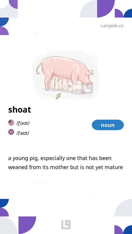Definition & Meaning of "Shoat" | Picture Dictionary