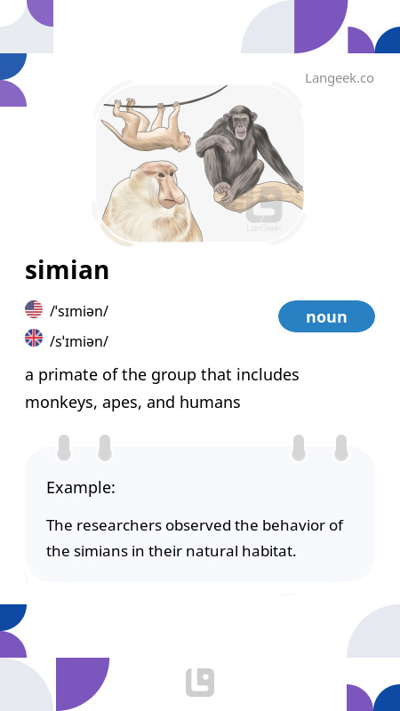 Definition & Meaning of "Simian" | LanGeek