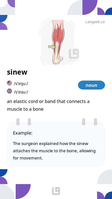 Definition & Meaning of "Sinew" | LanGeek