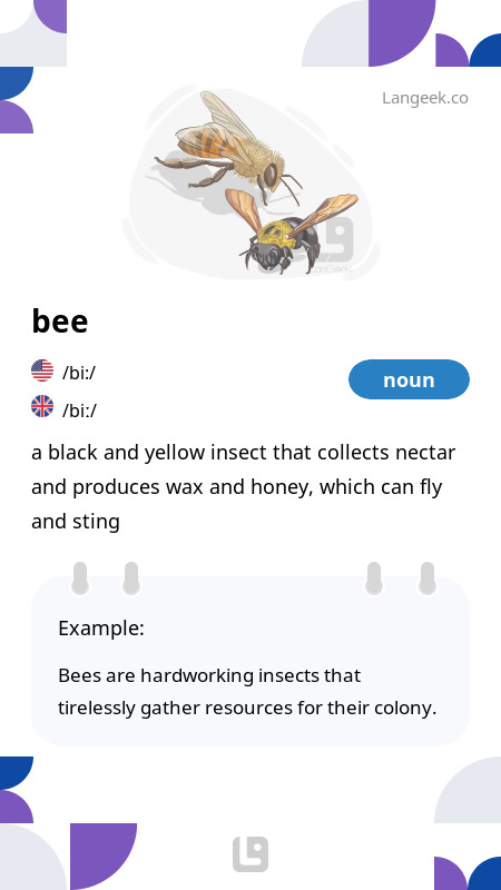 Definition & Meaning of "Bee" | Picture Dictionary