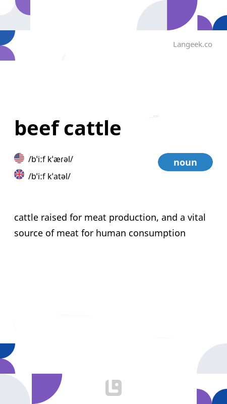 Definition & Meaning of "Beef cattle" | Picture Dictionary
