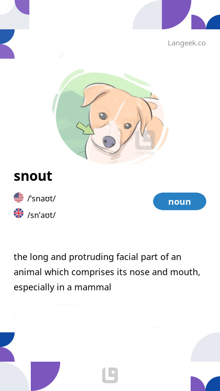 Definition & Meaning of "Snout" | Picture Dictionary