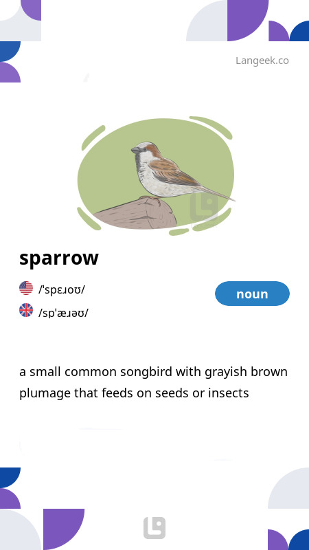 Definition & Meaning of "Sparrow" | Picture Dictionary