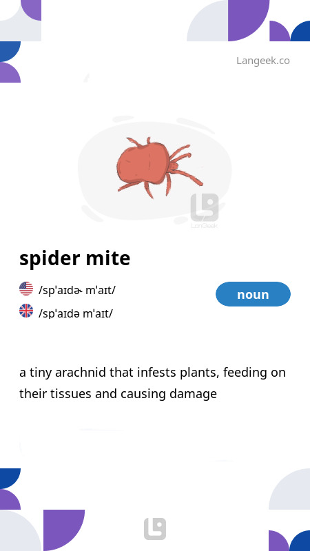 Definition & Meaning of "Spider mite" | Picture Dictionary