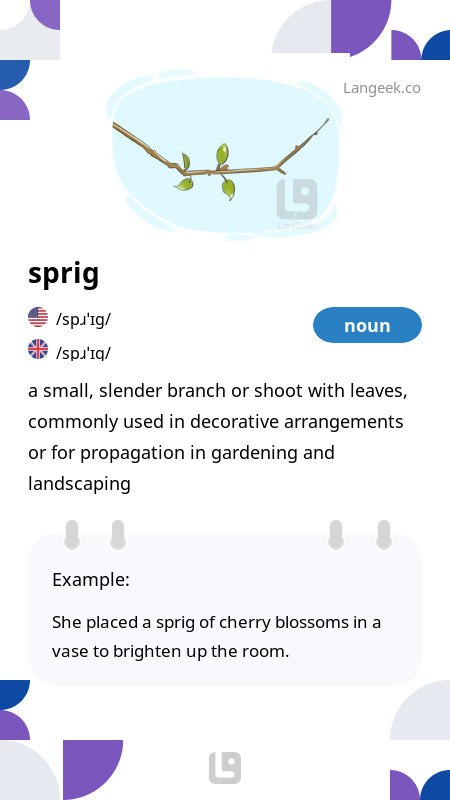 Definition & Meaning of "Sprig" | Picture Dictionary