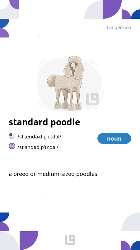 Definition & Meaning of "Standard poodle" | Picture Dictionary