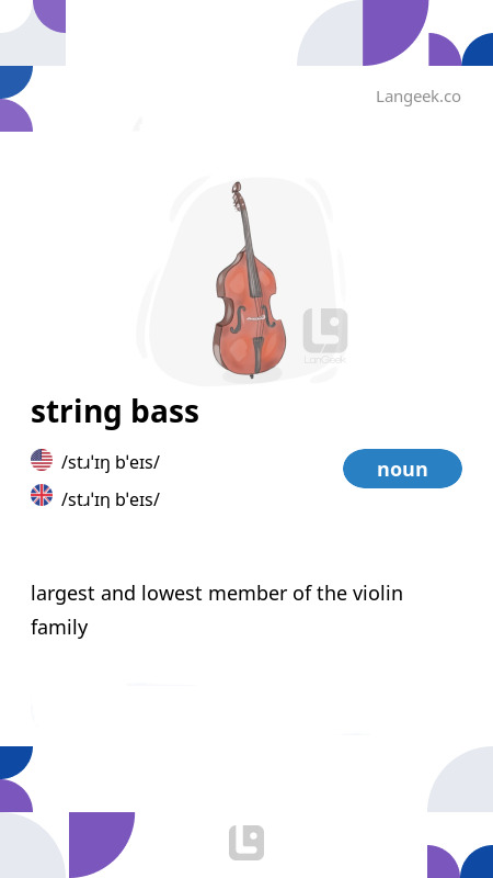 Definition & Meaning of "String bass" | Picture Dictionary
