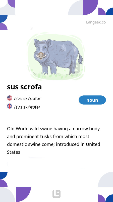 Definition & Meaning of "Sus scrofa" | LanGeek