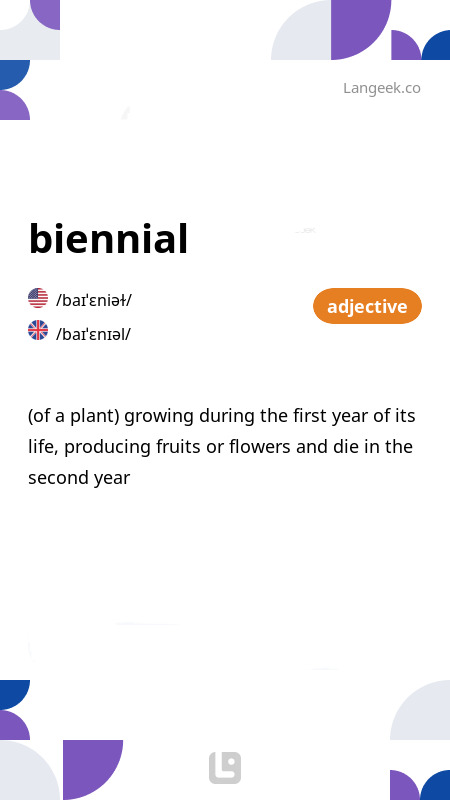 Definition & Meaning of "Biennial" | Picture Dictionary