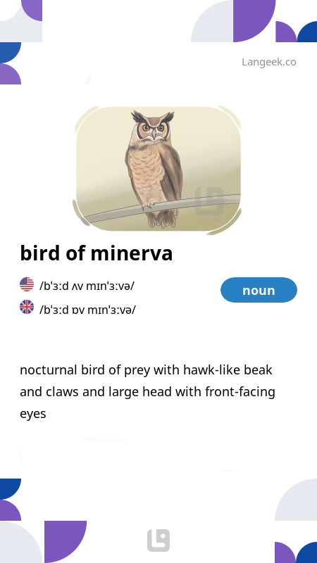 Definition & Meaning of "Bird of minerva" | Picture Dictionary