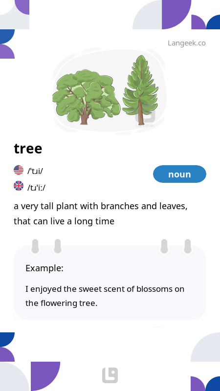 Definition & Meaning of "Tree" | Picture Dictionary
