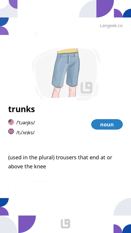 Definition & Meaning of "Trunks" | Picture Dictionary