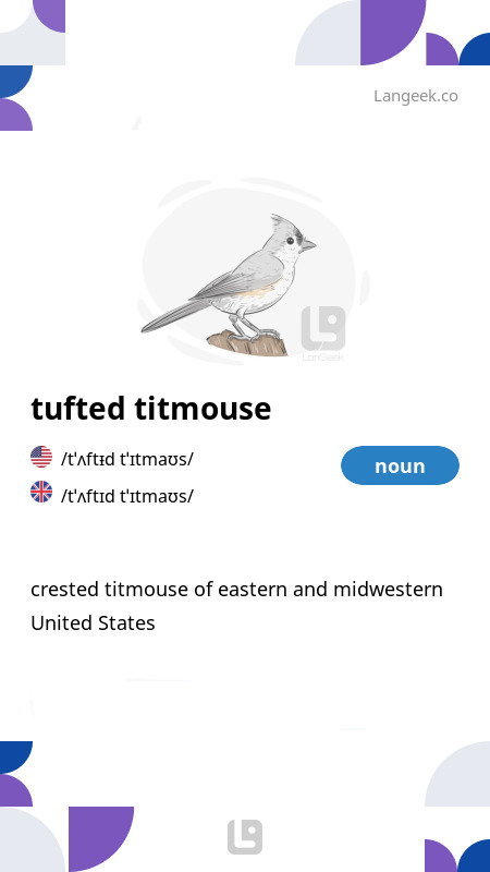 Definition & Meaning of "Tufted titmouse" | Picture Dictionary