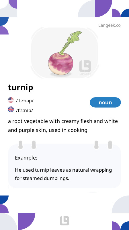 Definition & Meaning of "Turnip" | Picture Dictionary