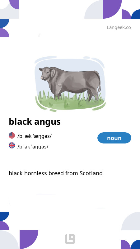 Definition & Meaning of "Black angus" | LanGeek