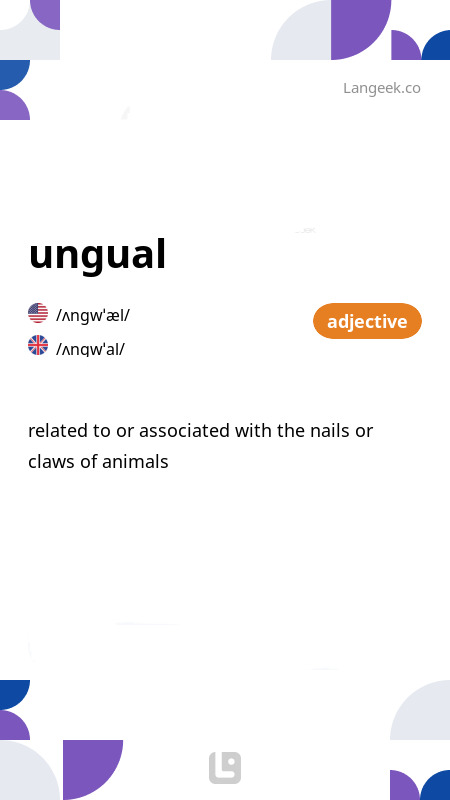 Definition & Meaning of "Ungual" | Picture Dictionary