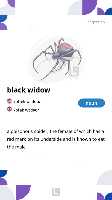 Definition & Meaning of "Black widow" | LanGeek