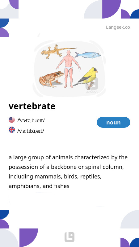 Definition & Meaning of "Vertebrate" | Picture Dictionary