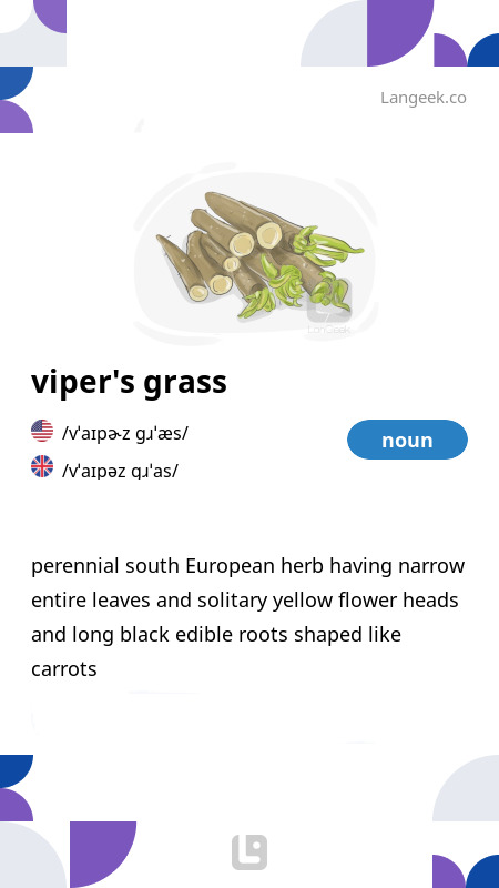 Definition & Meaning of "Viper's grass" | Picture Dictionary