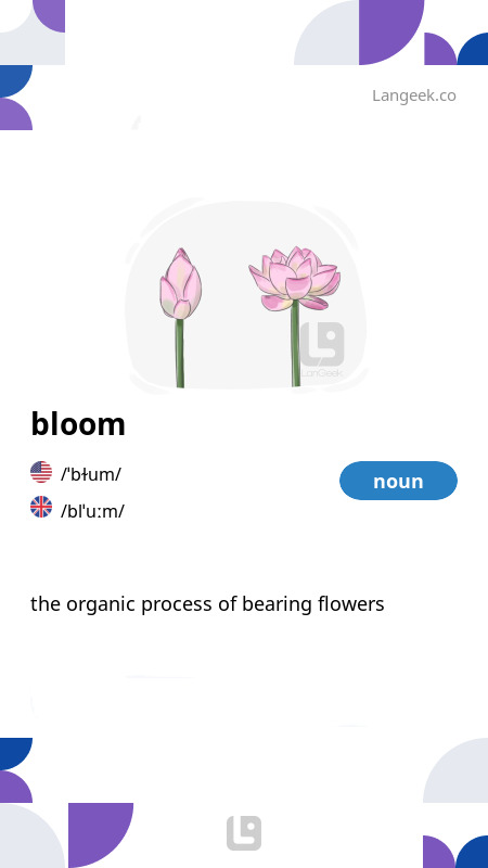 Definition & Meaning of "Bloom" | Picture Dictionary