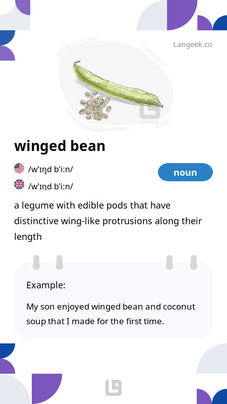 Definition & Meaning of "Winged bean" | LanGeek