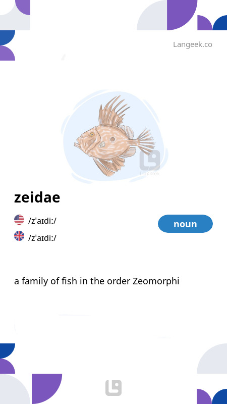Definition & Meaning of "Zeidae" | Picture Dictionary
