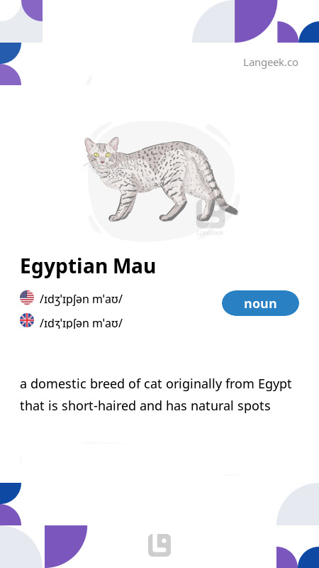 Definition & Meaning of "Egyptian mau" | Picture Dictionary