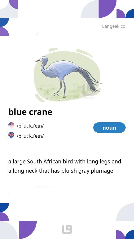 Definition & Meaning of "Blue crane" | Picture Dictionary