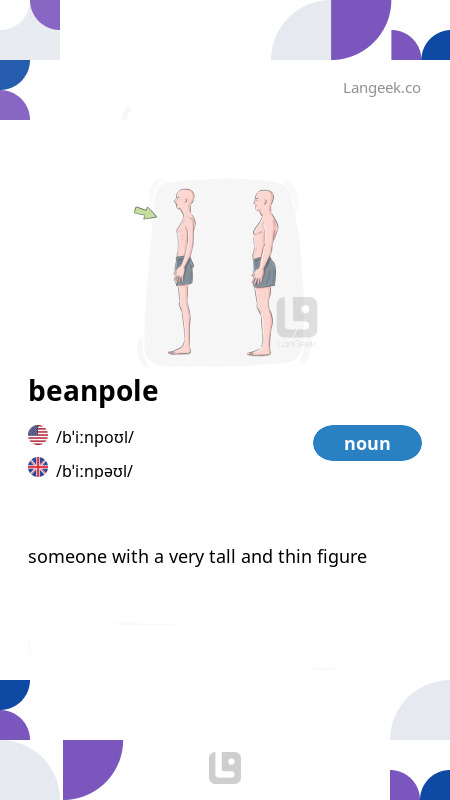 Definition & Meaning of "Beanpole" | Picture Dictionary