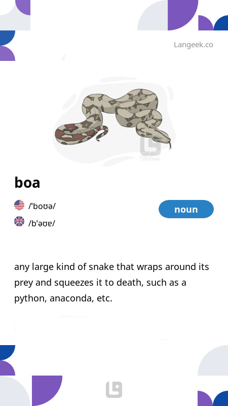 Definition & Meaning of "Boa" | Picture Dictionary