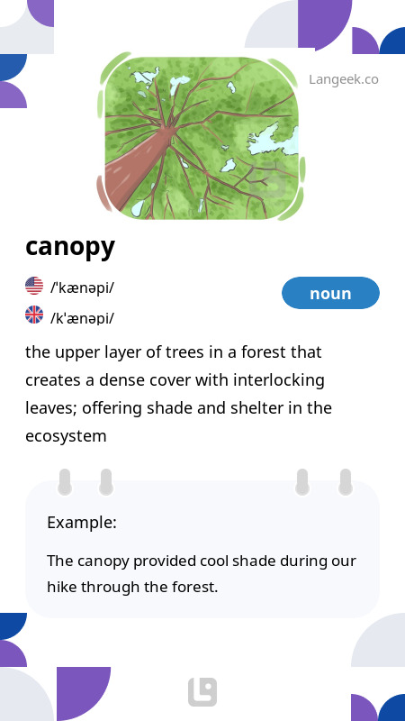 Definition & Meaning of "Canopy" | Picture Dictionary