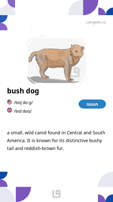 Definition & Meaning of "Bush dog" | Picture Dictionary
