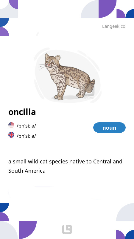 Definition & Meaning of "Oncilla" | LanGeek