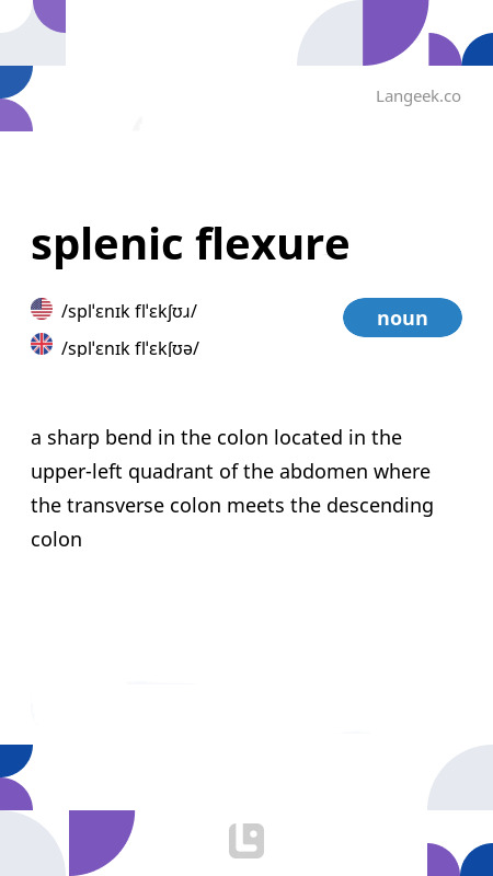 Definition & Meaning of "Splenic flexure" | LanGeek