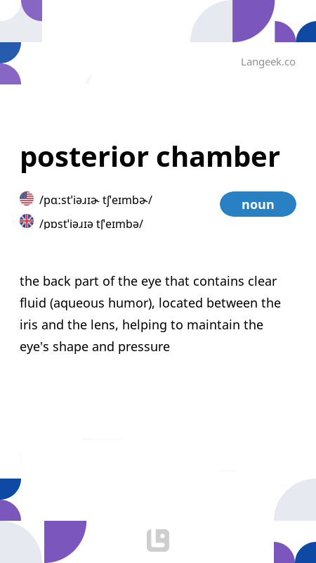 Definition & Meaning of "Posterior chamber" | Picture Dictionary