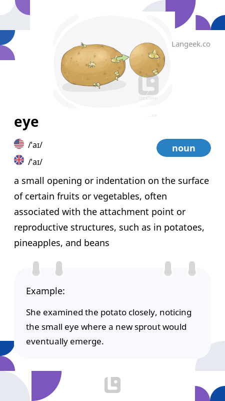 Definition & Meaning of "Eye" | Picture Dictionary