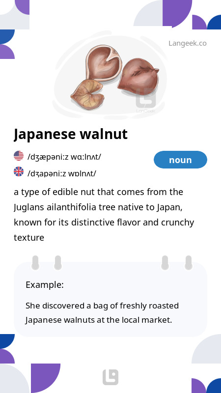 Definition & Meaning of "Japanese walnut" | Picture Dictionary