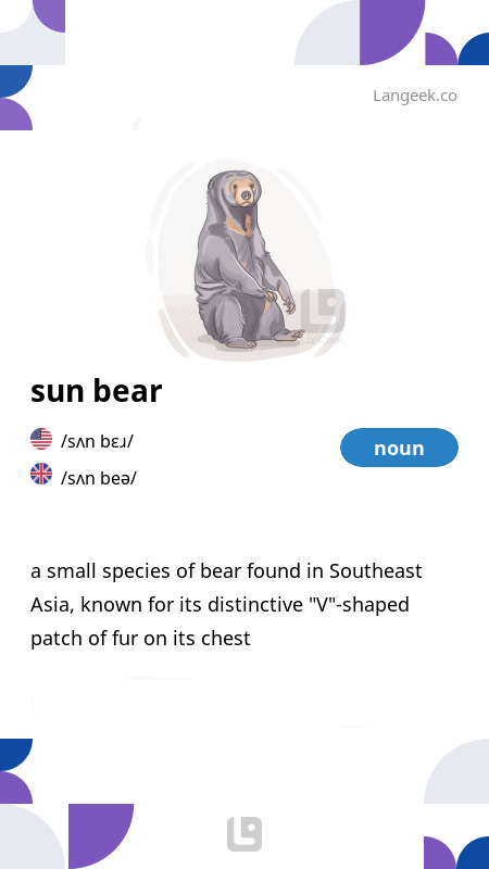 Definition & Meaning of "Sun bear" | Picture Dictionary