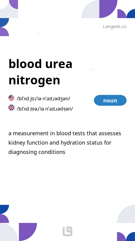 Definition & Meaning of "Blood urea nitrogen" | Picture Dictionary