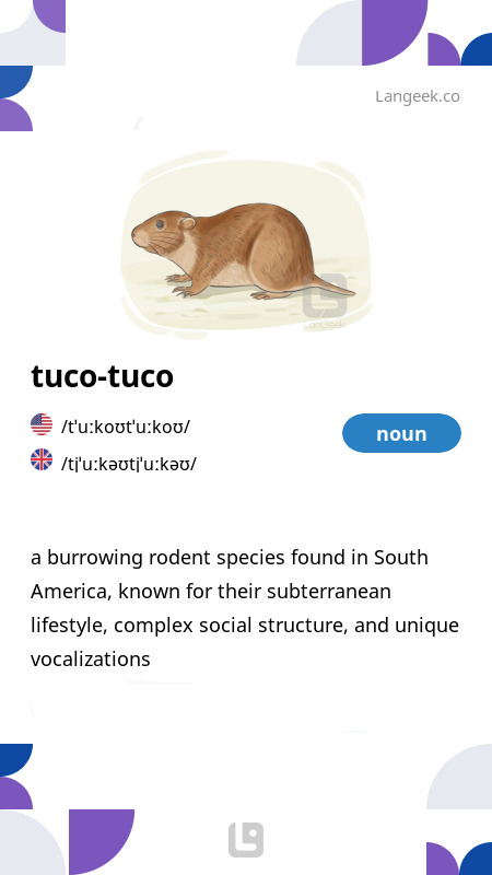Definition & Meaning of "Tuco-tuco" | Picture Dictionary