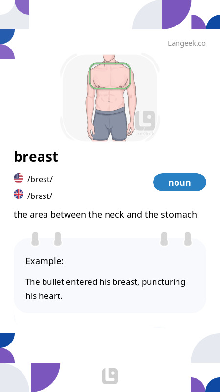 Definition & Meaning of "Breast" | Picture Dictionary