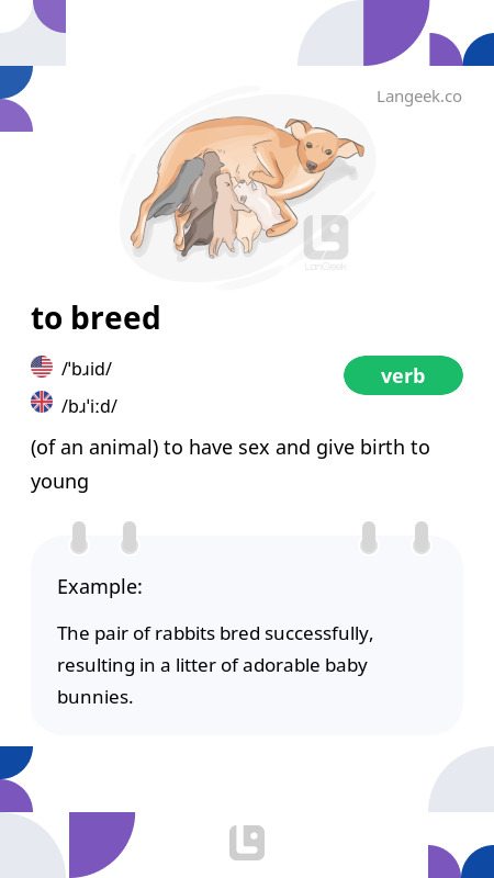 Definition & Meaning of "Breed" | Picture Dictionary
