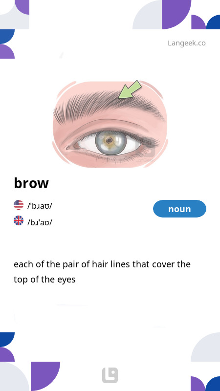Definition & Meaning of "Brow" | Picture Dictionary