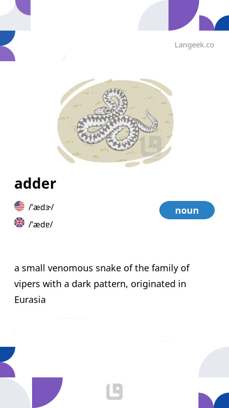 Definition & Meaning of "Adder" | Picture Dictionary