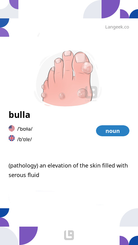 Definition & Meaning of "Bulla" | Picture Dictionary