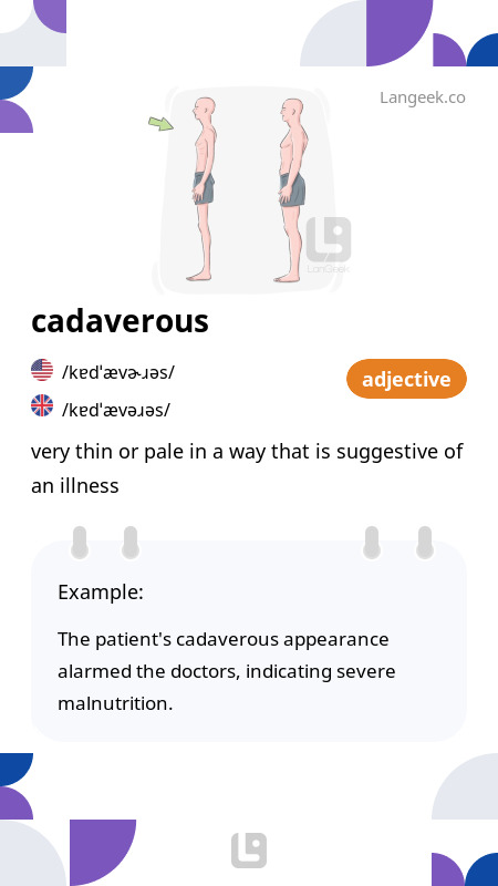 Definition & Meaning of "Cadaverous" | LanGeek