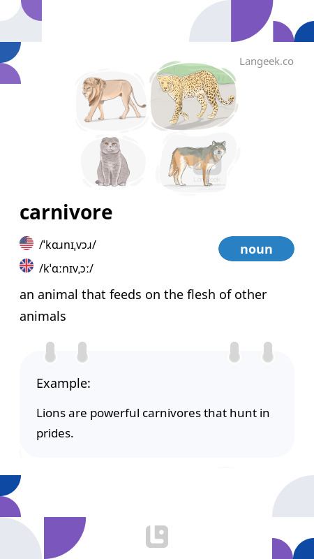 Definition & Meaning of "Carnivore" | Picture Dictionary