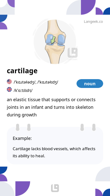 Definition & Meaning of "Cartilage" | LanGeek