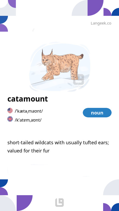 Definition & Meaning of "Catamount" | Picture Dictionary
